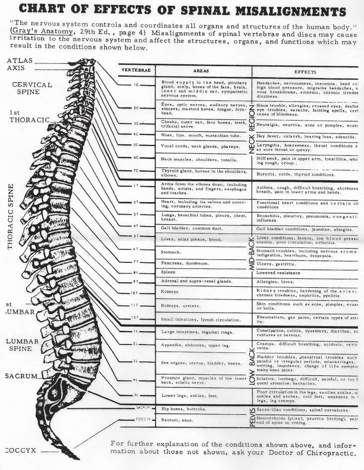 Effects of Spinal Misalignments (Chart). Nerve Chart | Euclid Chiropractic